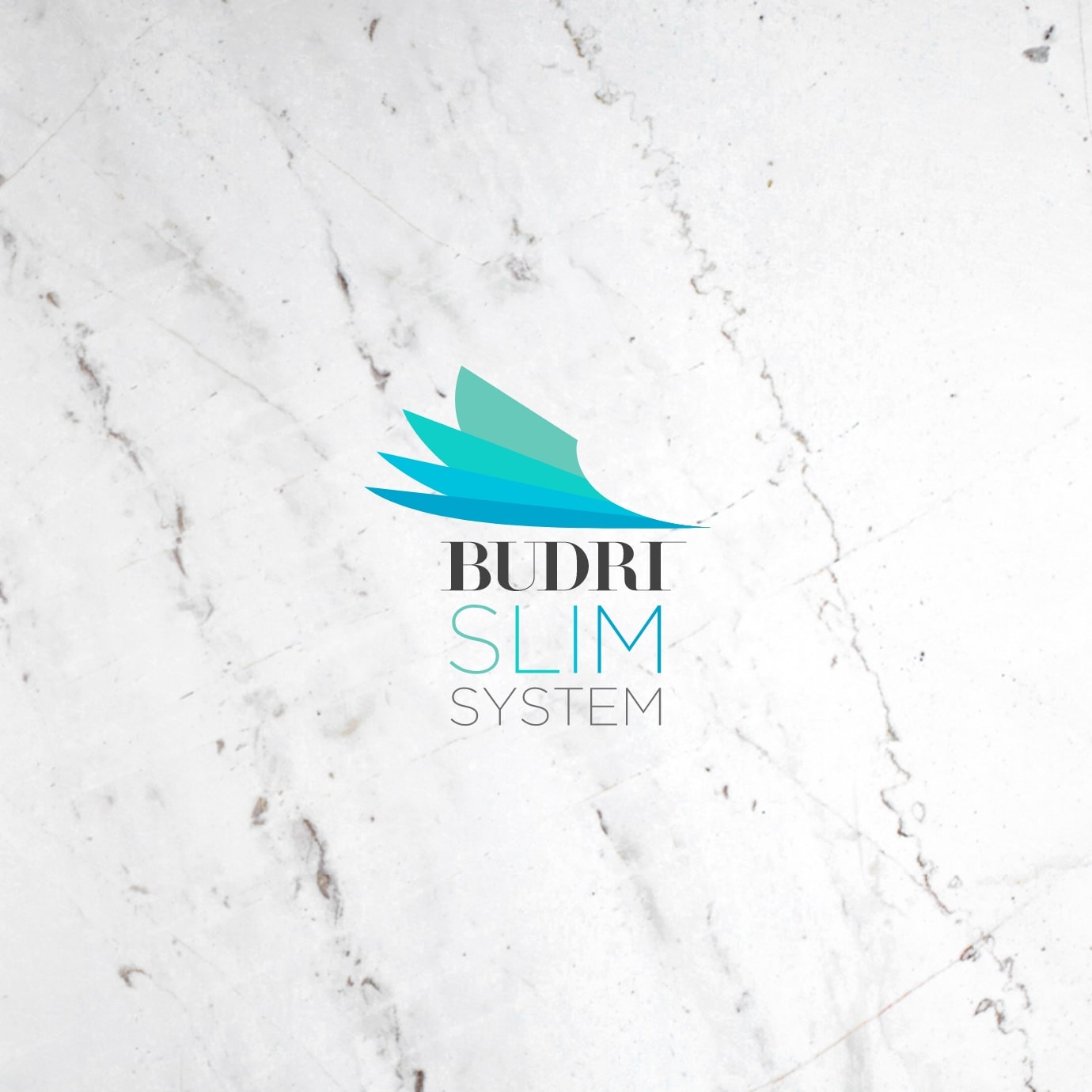 Budri Slim - BUDRI